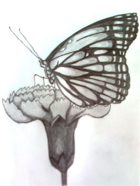 Literary Sojourn Pencil Sketch