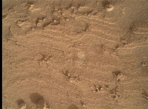 NASA Curiosity Rover Spots Strange Flower Like Structure On Mars Autoevolution