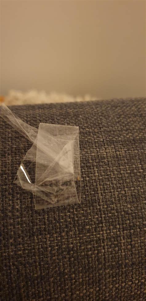 Possible Bed Bug Evidence Rbedbugs