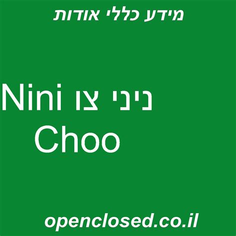 ניני צו Nini Choo שעות פתיחה כתובת טלפון
