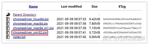 selenium用法详解从入门到实战Python爬虫 万字 知乎