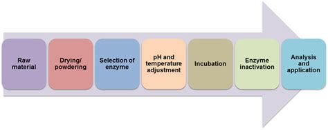 The Steps Of The Enzyme Assisted Extraction Process Download Scientific Diagram