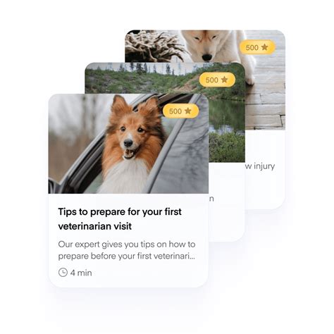 The Lassie App Developed With Veterinarians And Experts Lassie