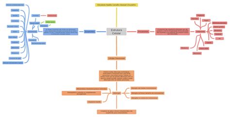Estrutura Celular Coggle Diagram Estrutura Celular Coggle Diagram