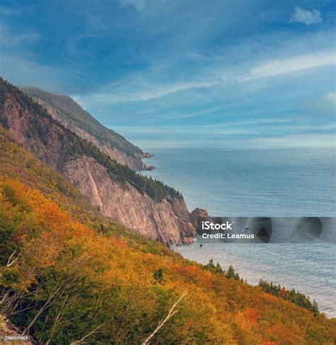 Fall Foliage And Red Cliffs On The Rugged Shore Of The Famous Cabot
