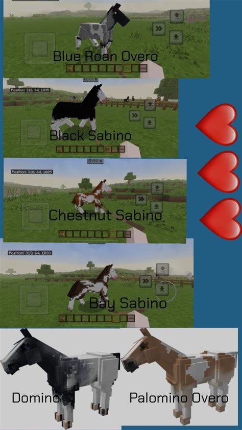 Horse Coats Minecraft Horse Minecraft Houses Cool Minecraft Creations