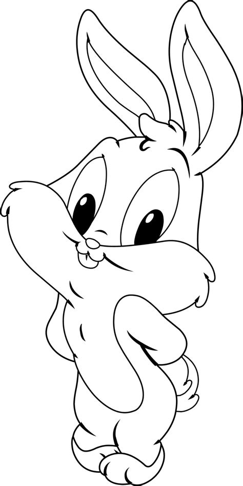 Desenhos De Lebre Para Colorir