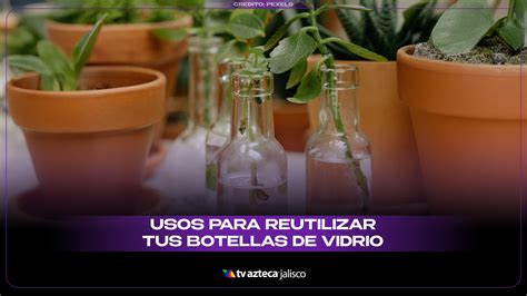 ¿ya No Sabes Qué Hacer Con Tus Botellas De Vidrio 6 Nuevos Usos Nuevos