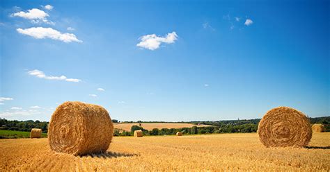 Spiras Inviterer Til Tre Medlemsmøder