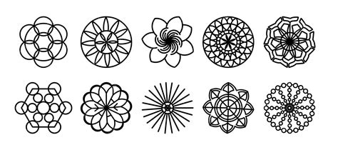 Premium Vector Vector Hand Drawn Flower Pattern Template Element
