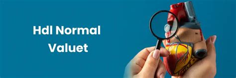 Hdl Cholesterol Normal Levels And How To Increase It