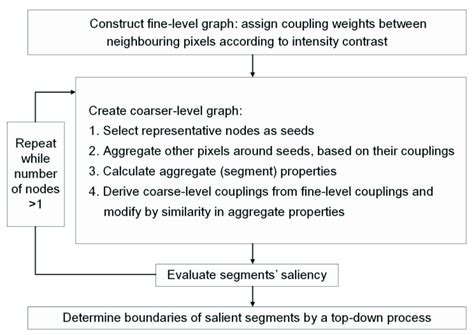 Schematic Of The Segmentation By Weighted Aggregation Swa Method 30