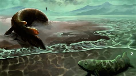 Flatworms Unveil Secrets Of Whole Body Regeneration