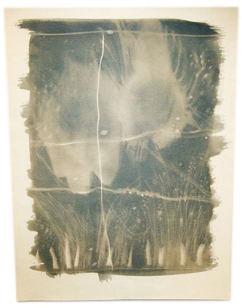 Cyanotype Bakup