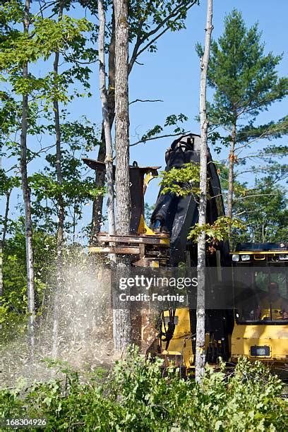 Wood Cutter Machine Photos And Premium High Res Pictures Getty Images