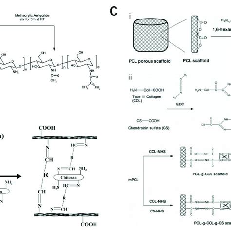 Synthesis Roadmap Of Polysaccharide Materials A Schematic Diagram Of