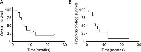 The Efficacy And Safety Of Apatinib Treatment For Patients With Metast