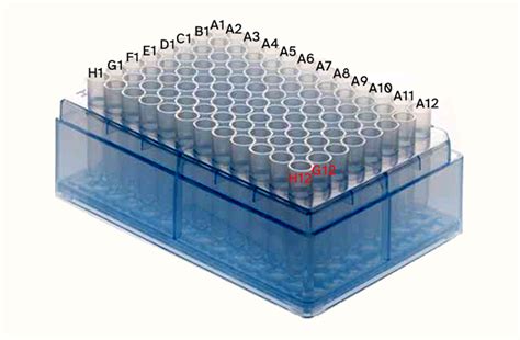 Leaves And Leaf Sample Preparation