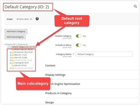 How To Create A New Root Category In Magento Steps Magezon