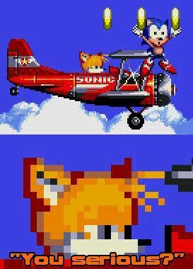 Pin By Drlecter On Sonic Team Sonic Funny Sonic Sonic Heroes