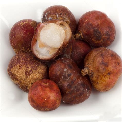 Gulgutia Fruit Plant Protium Serratum Veliyathgardens