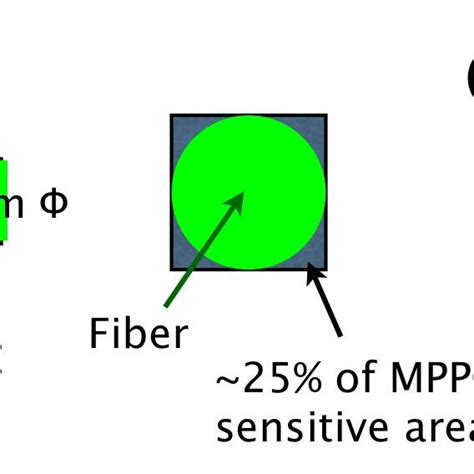 A Schematic Explaining The Excess Area Of Mppc Sensitive Area 1 And