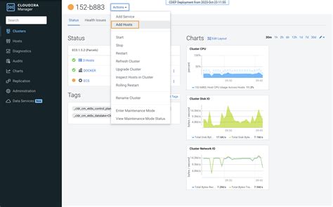 adding hosts to a embedded container service cluster