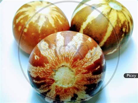 Image Of Cucmber Or Dosakaya Over An Isolated White Background Ey919537