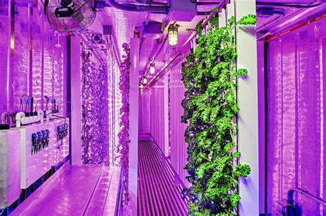 The Indoor Farming Compound Founded By Kimbal Musk Is Now Delivering