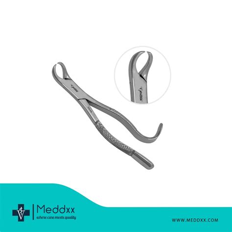 Lower Molar Forceps Meddxx
