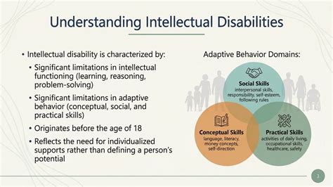 Iep Individualized Education Program
