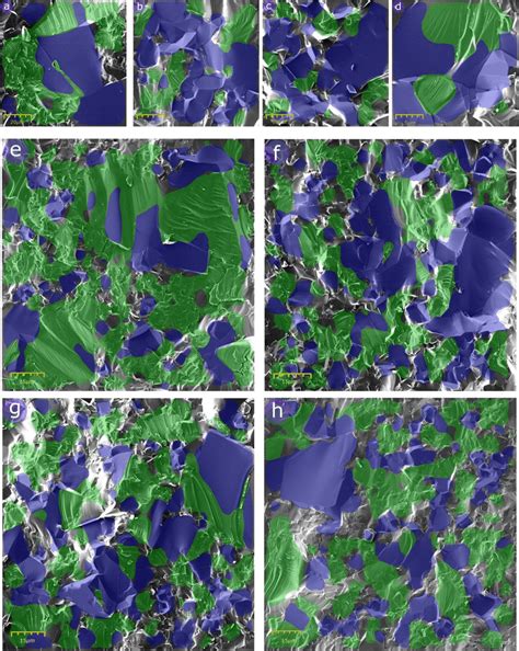 Distinction In The Types Of Classification That Can Be Performed Based