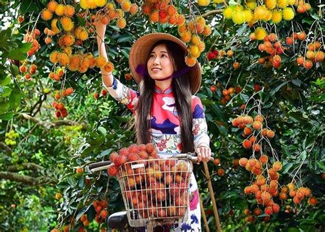 Kinh Nghiệm đi Vườn Trái Cây Chú Ba Cư ăn Trái Cây Tẹt Ga