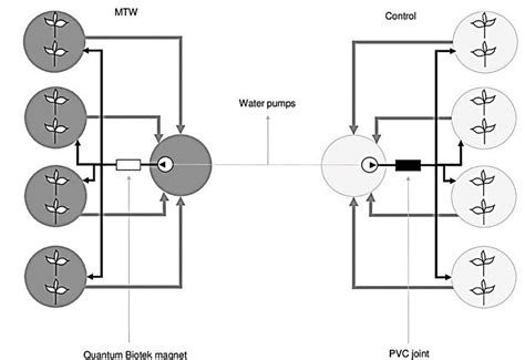 Scheme Of The Hydroponic System Arrows Show The Loop Water Flow