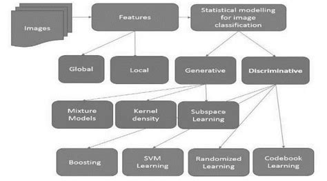 Organization Of The Categorization Process Download Scientific Diagram