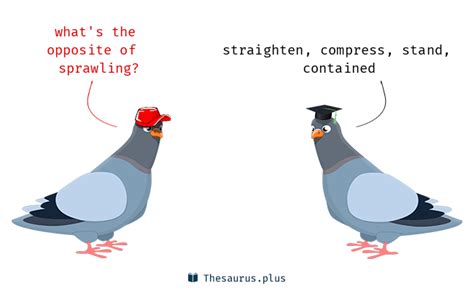 4 Sprawling Antonyms Full List Of Opposite Words Of Sprawling