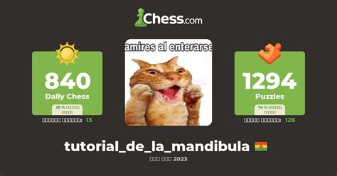 Tutorial De La Mandibula פרופיל שחמטאי