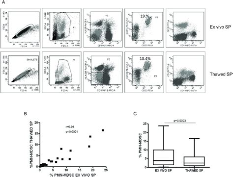 Pmn Mdsc Decreased After Thawing A Gating Strategy Used To Identify Download Scientific