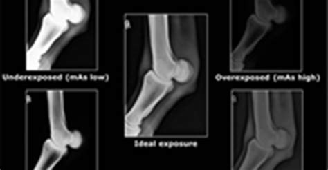 Get The Most From Your X Ray System Imv Imaging