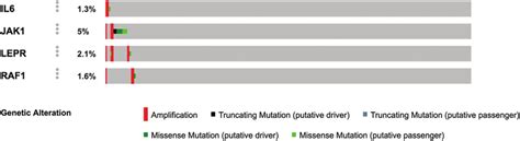 Patterns Of Genetic Alteration Of The Four Gene Targets Involved In Hcc Download Scientific