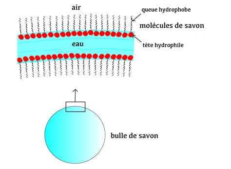 Développement Dun Dispositif Pour étudier Le Gel Dune Bulle De Savon