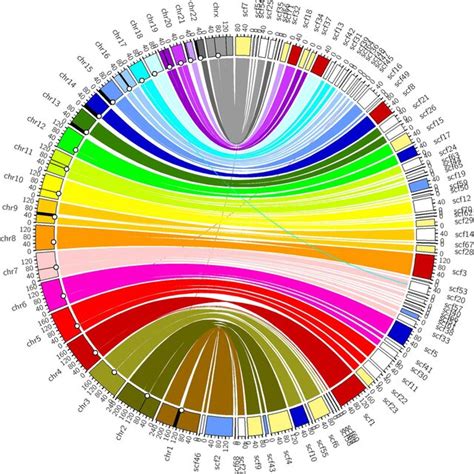 Schematic Diagram Of Study Design Sequencing Data From Five Different