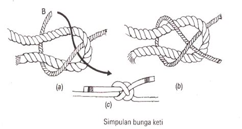 Pengakap 05 Telupid Bunga Geti Sheet Bend