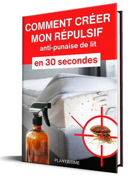 Spray Anti Punaises De Lit 100 Naturel à Faire Chez Vous