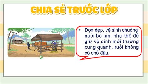 Powerpoint Stem Thùng Rác Thân Thiện Lớp 3