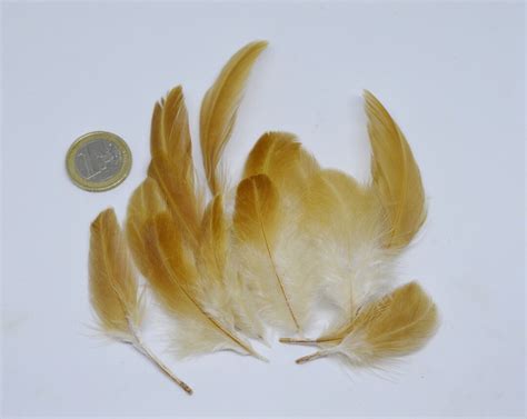 10pcs Small Red Feathers From Calimero For Diy Crafting Natural Color