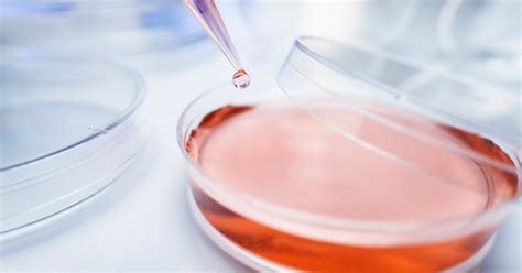 China To Enforce Ban On Hbcdd Sgs Australia