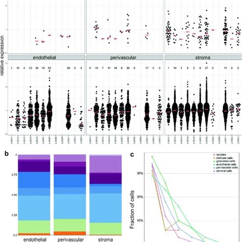 Cell Typespecific Expression Of Laminin Isoforms In Ovarian Cortex Download Scientific