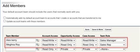 Add Account Team Members In Salesforce