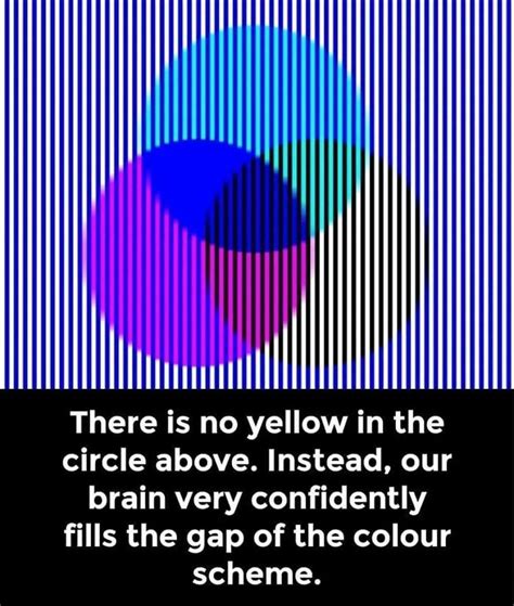 46 Funny Brain Memes That Might Get You Thinking